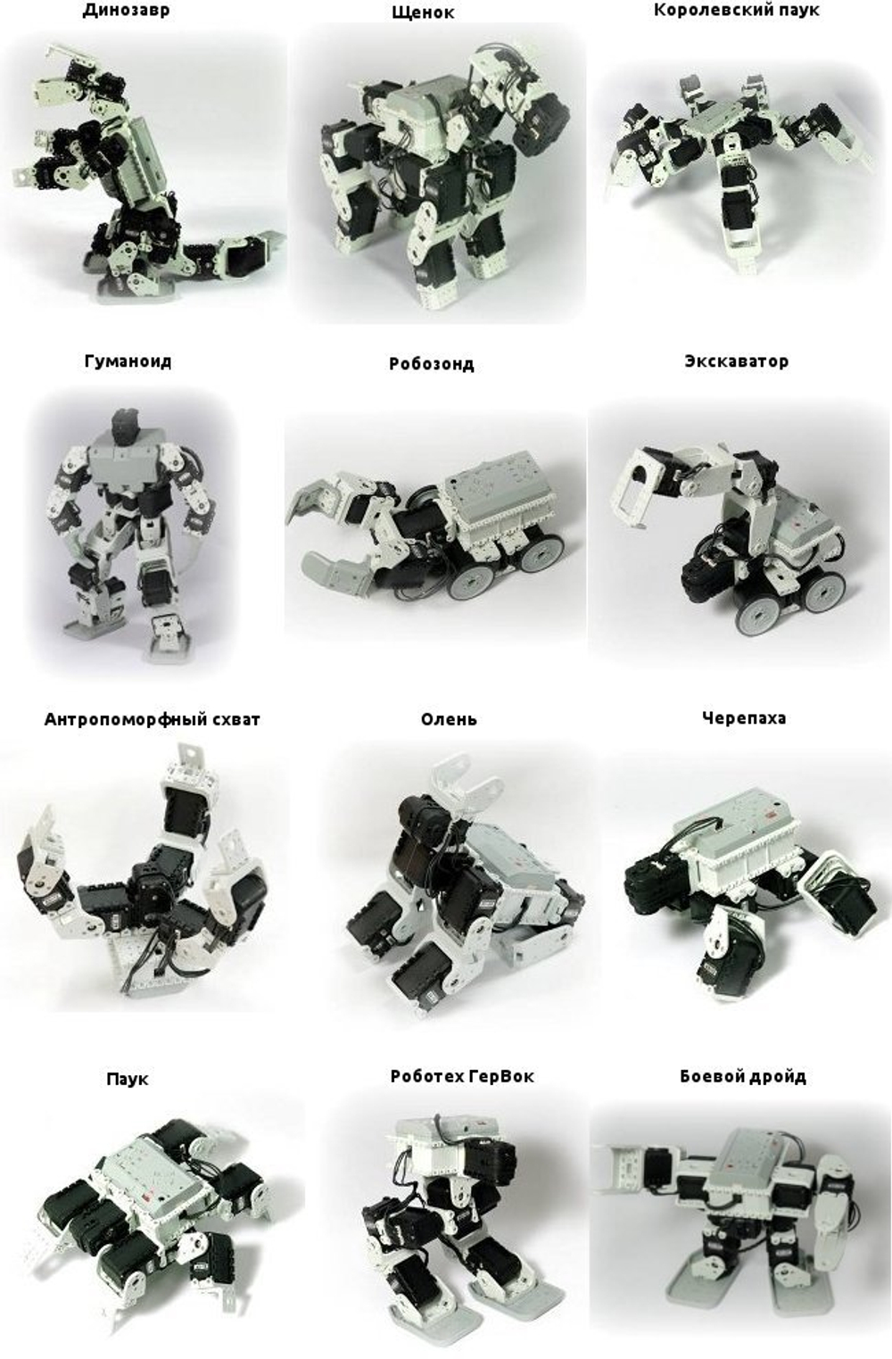 Купить Образовательный конструктор Robotis BIOLOID Comprehensive Kit в Москве